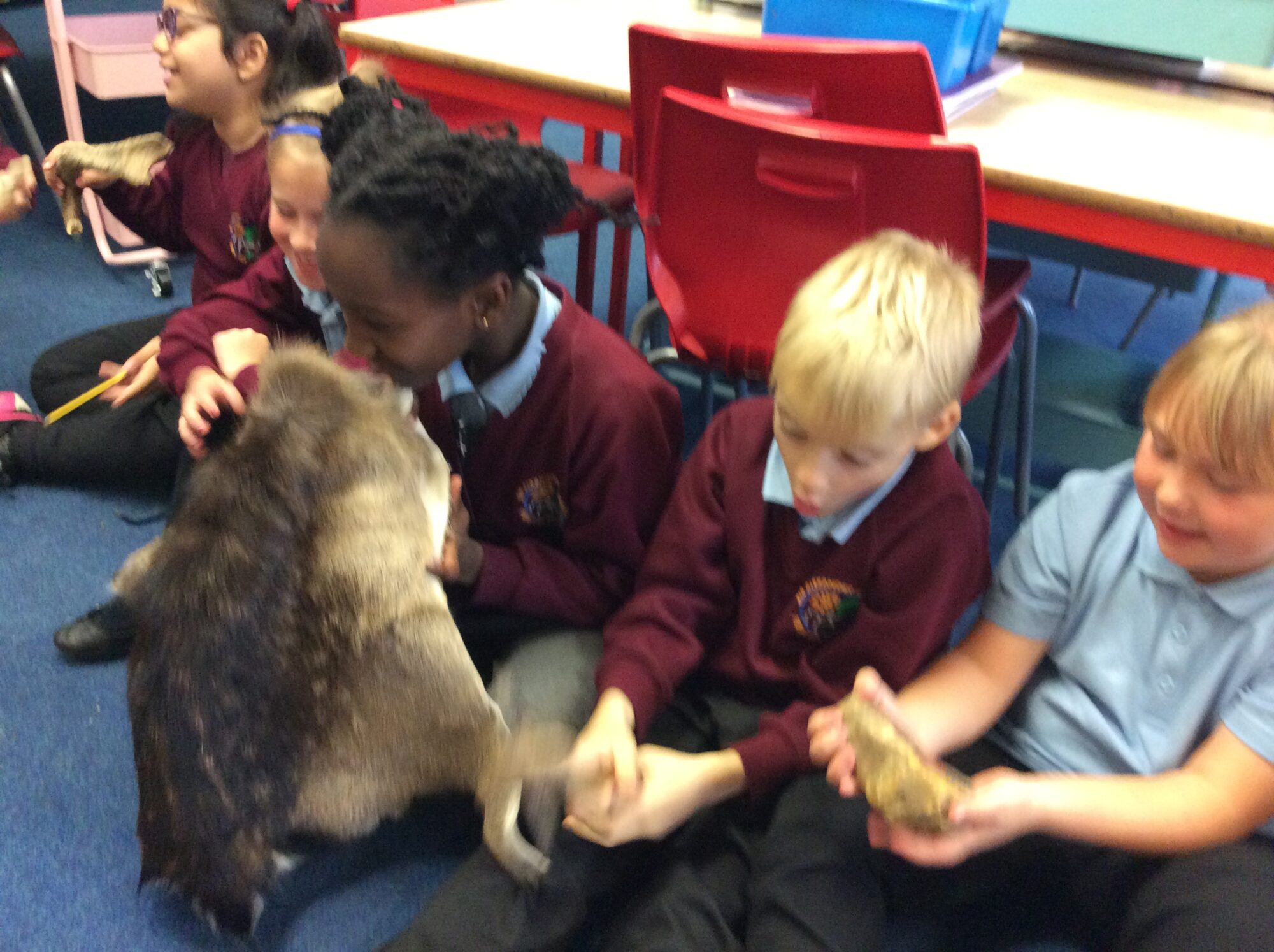 Year 3 Stone Age Day – Sir Alexander Fleming Primary School
