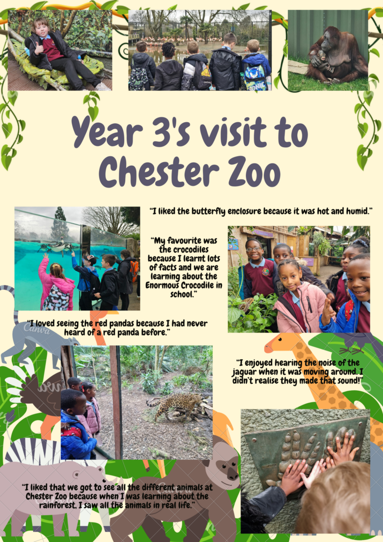 Year 3 – Sir Alexander Fleming Primary School