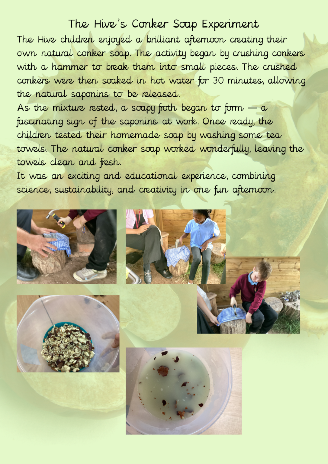 Making Conker Soap – Sir Alexander Fleming Primary School